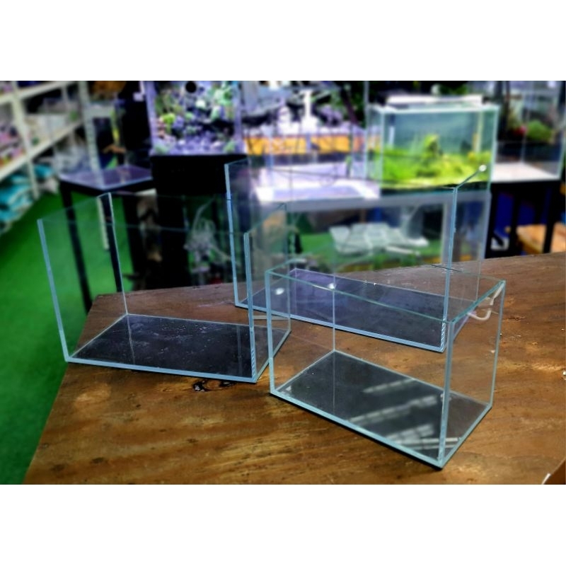 Crystal Clear Tank pelbagai saiz + Secure pakaging box | Shopee Malaysia