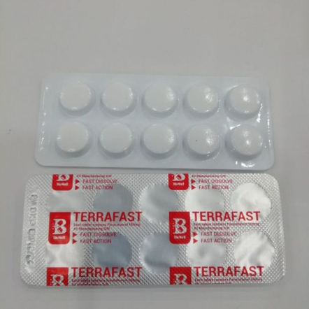 BIOWELL TERRAFAST 500MG 10'S(PANADOL ACTIFAST 500MG) | Shopee Malaysia