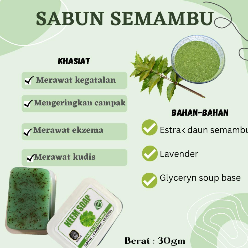 DAUN SEMAMBU VIRAL SABUN HILANG PARUT SABUN EKZEMA SABUN GATAL BADAN ...