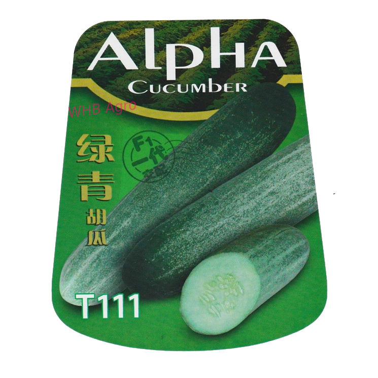 Benih Timun Alpha Cucumber T111 Star Plant - ( 20g ) 👍 💯 | Shopee Malaysia