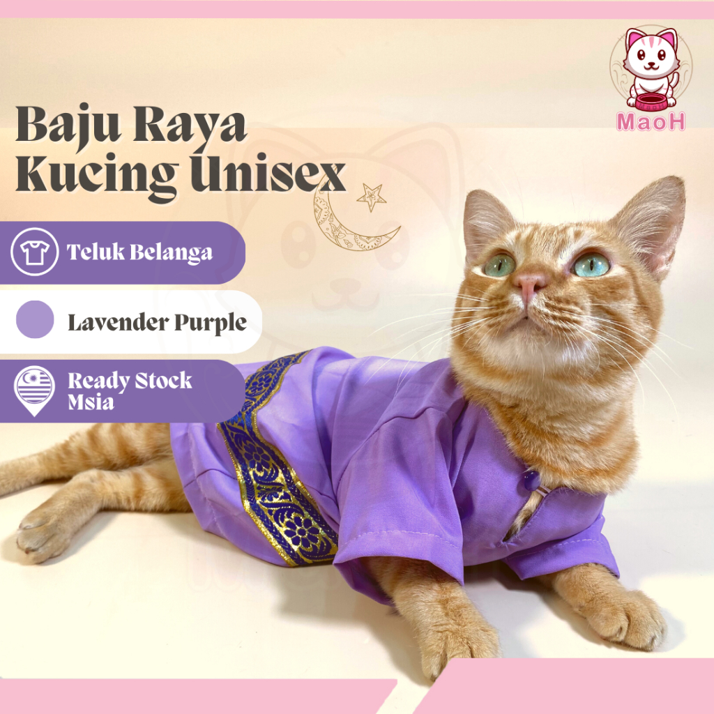 MaoH Baju Raya Kucing (Lavender Purple) Cat Clothes Melayu Sedondon ...