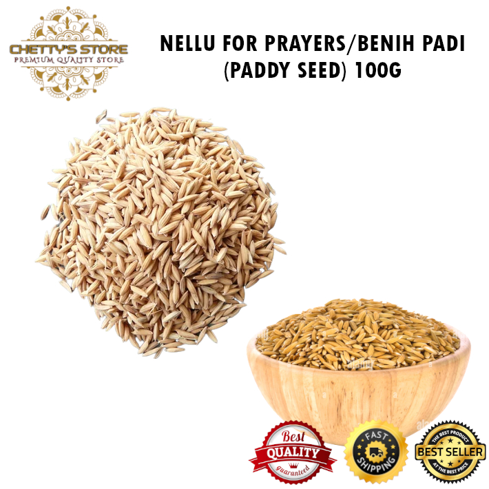 Paddy Seed / Benih Padi / Nellu For Pooja / Prayers 100g | Shopee Malaysia