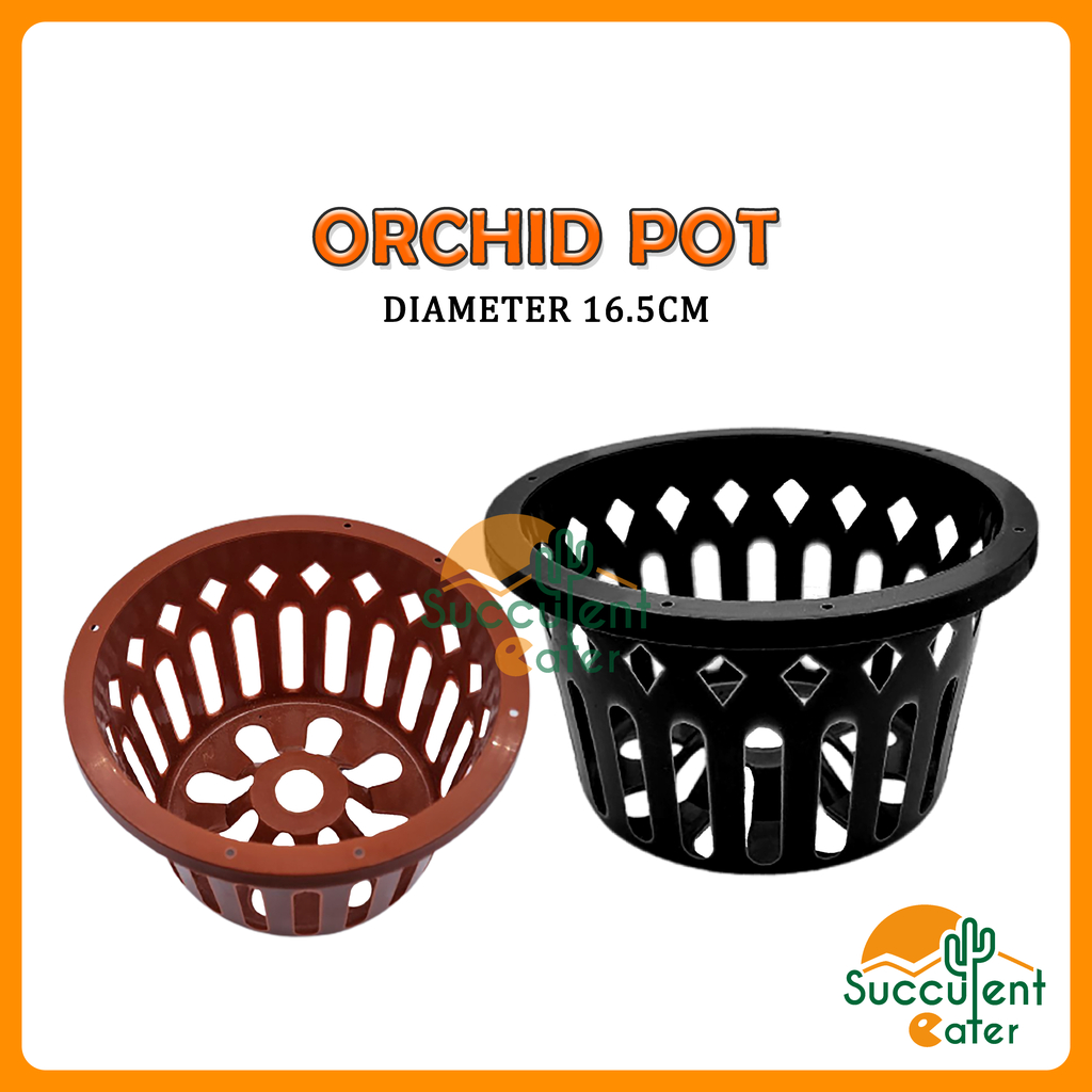 16.5CM Orchid Plastic Flower Pot Pasu Bunga Okid Gafri 蝴蝶兰花盆 | Shopee ...