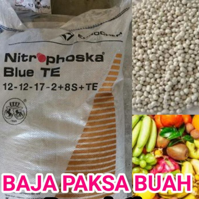 [500gram] BAJA PAKSA BUAH CAP SINGA KUDA Nitrophoska NPK 151515 Green ...