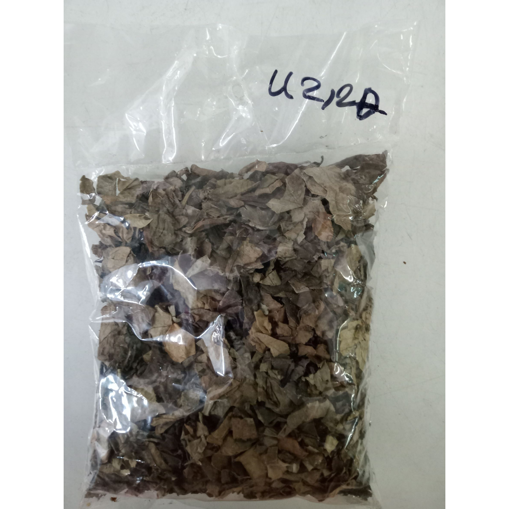 Dried Uziza Leaves(30g) | Shopee Malaysia