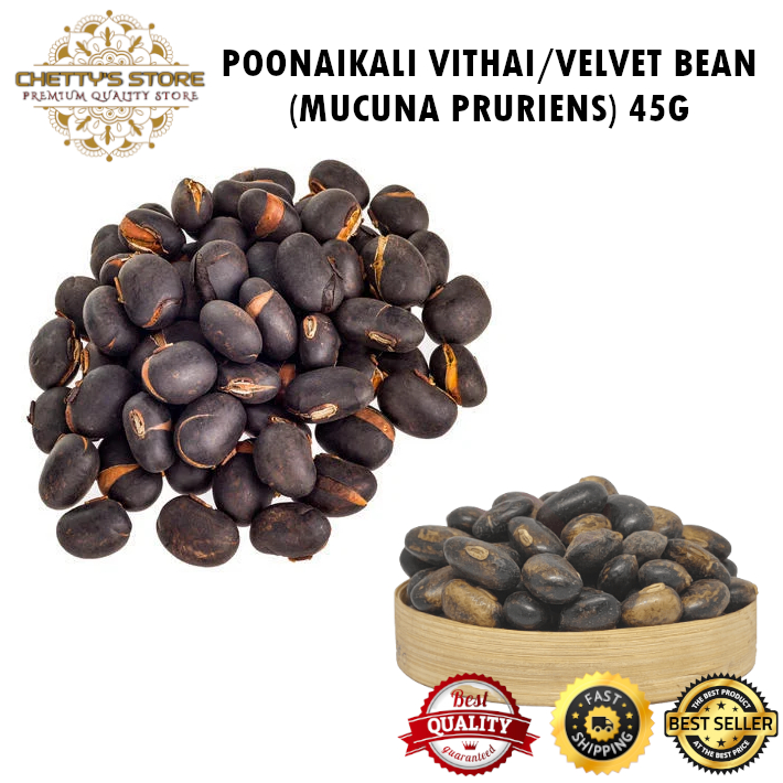 (IMPORTED INDIA) POONAIKALI VITHAI / VELVET BEAN / MUCUNA PRURIENS 0 ...