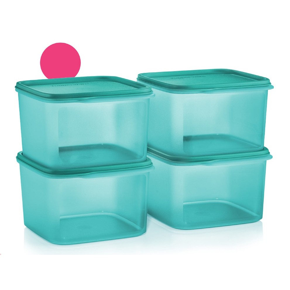 Smart Saver Set Tupperware | Shopee Malaysia