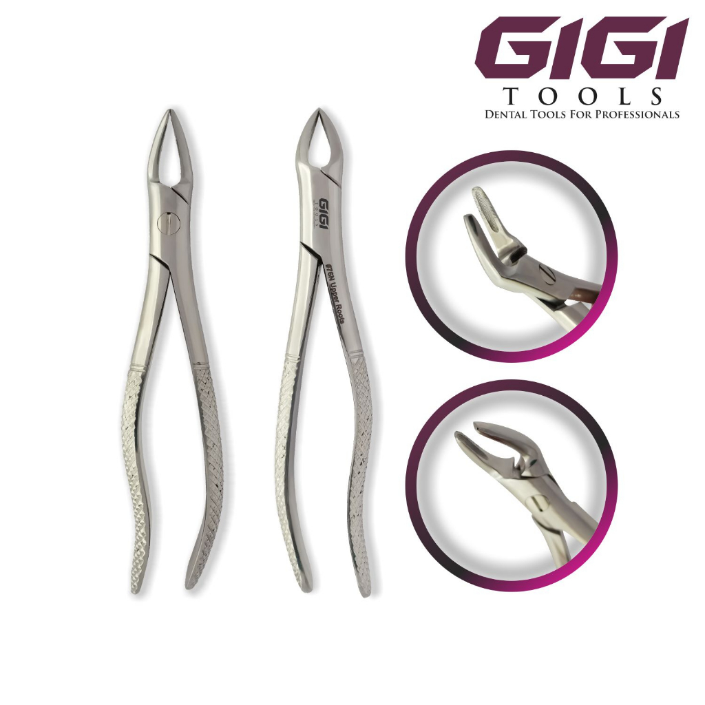 GIGI Tools Tooth Extracting Forceps FIG 76N Upper Root Adult Forceps ...