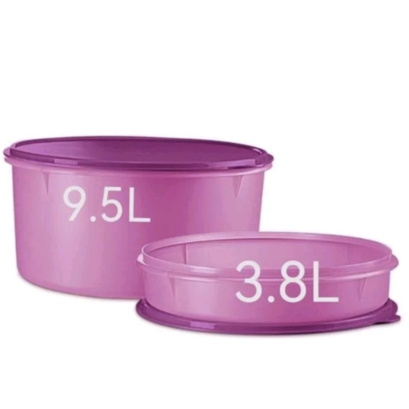 Tupperware Take A Lot Set (1pc)3.8L (1pc )9.5L | Shopee Malaysia