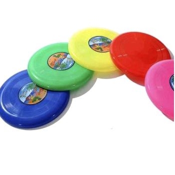 Frisbee Flying Disc Toys Outdoor playing Toys 23Cm | Shopee Malaysia