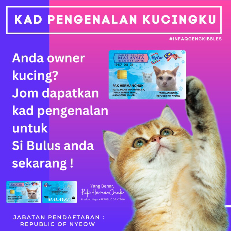PVC CARD ID KUCING COMEL | Shopee Malaysia