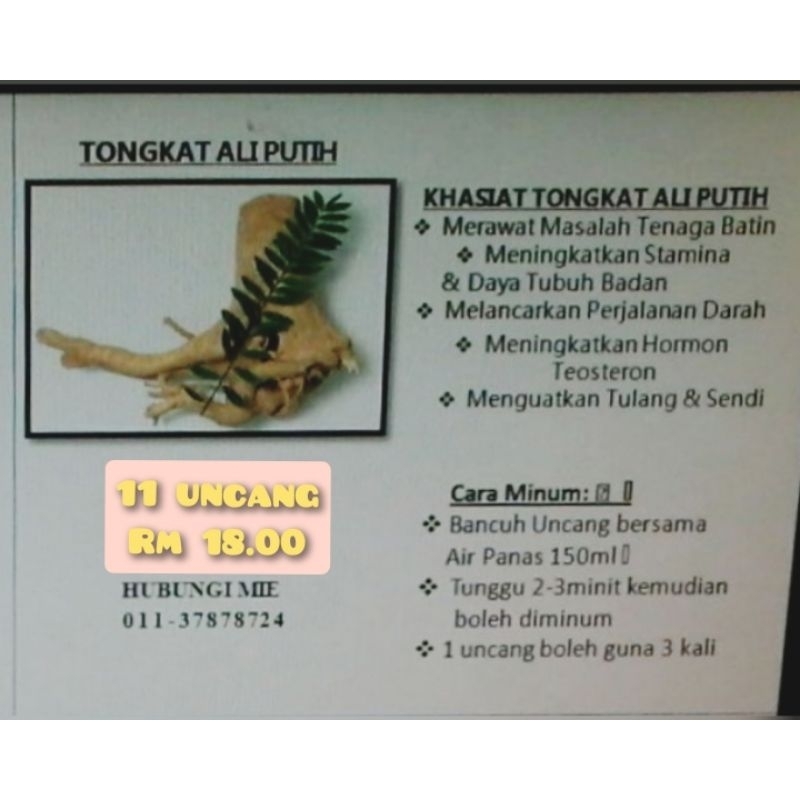 TEH TONGKAT ALI PUTIH 100% ORIGINAL | Shopee Malaysia