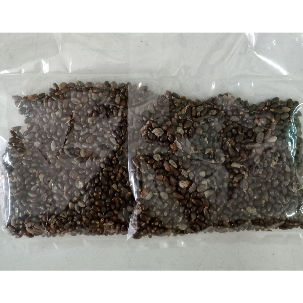 Nigeria Orima Seed (30g) | Shopee Malaysia