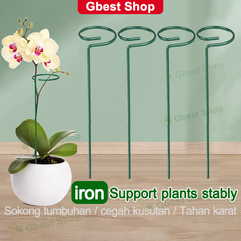 Metal Flower Stand Plant Climbing Pole Support Bonsai Stake Backyard ...