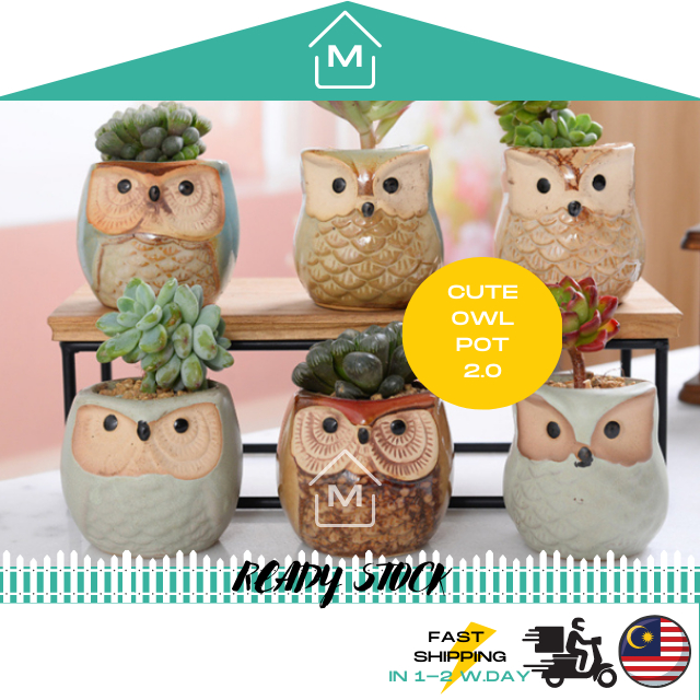 [MINI] Owl Design 2.0 Ceramic Succulent Cactus Plant Flower Pot Home ...