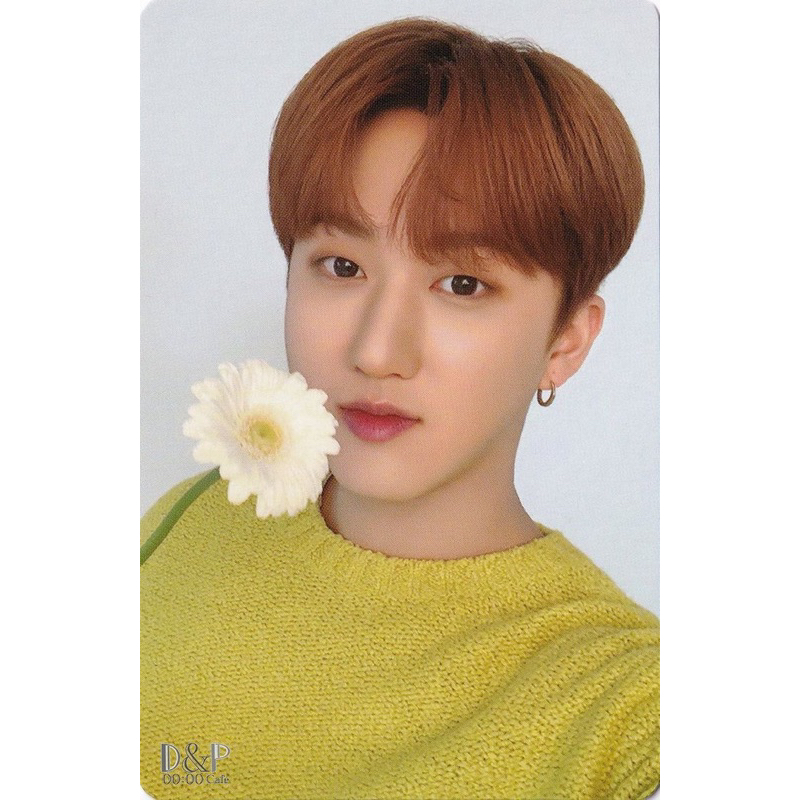 STRAY KIDS PHOTOCARD PC CHANGBIN MAXIDENT NACIFIC NOEASY POB LAVENTER ...