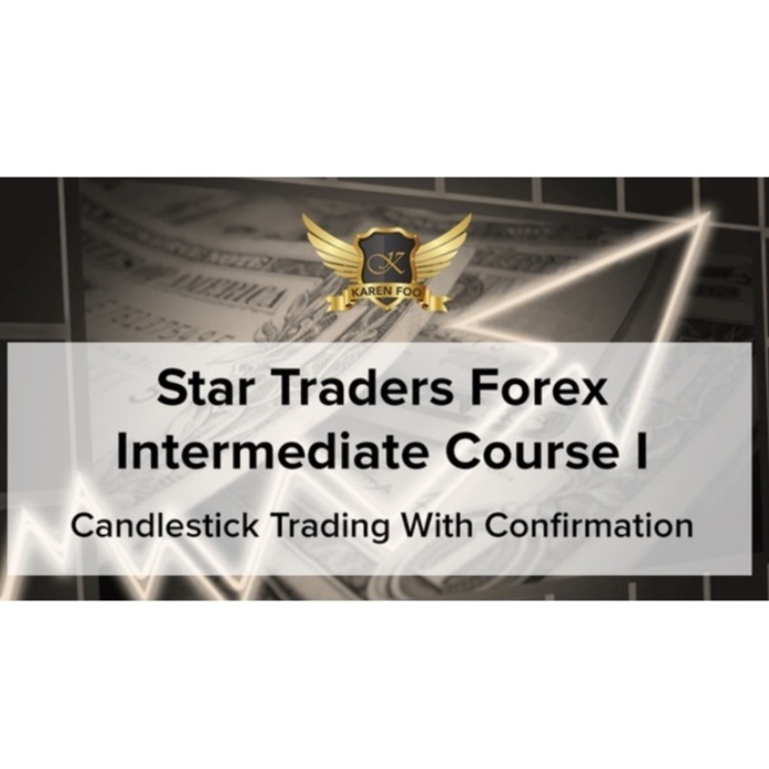 Karen Foo - Star Traders Forex Intermediate Course 1 | Shopee Malaysia