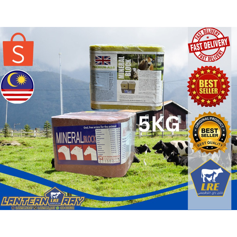 Garam Mineral Blok PREMIUM 5KG | Shopee Malaysia