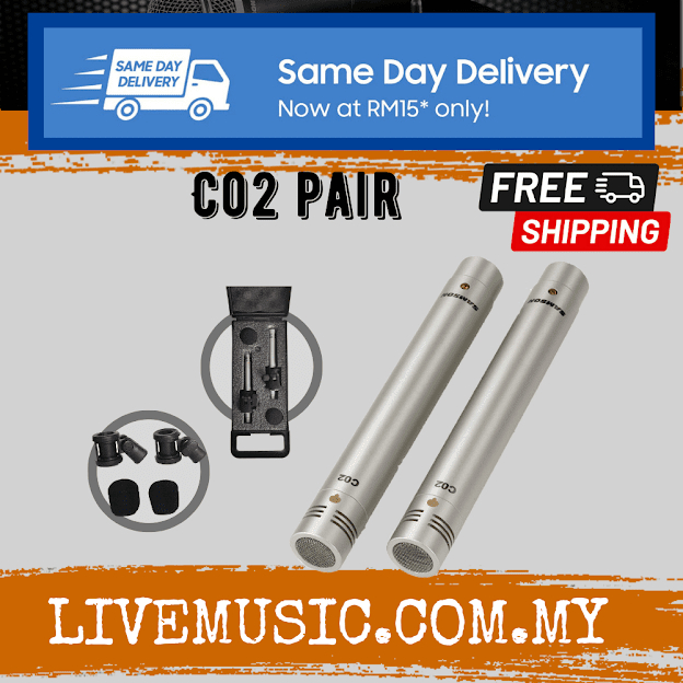 Samson C02 - Stereo Small-diaphragm Pencil Cardioid Condenser ...