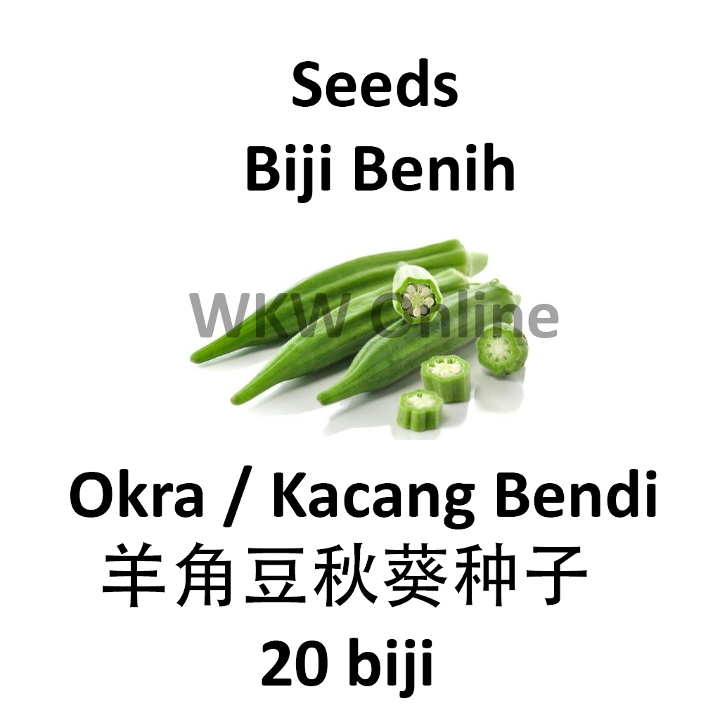 [Ready Stock] (20 pcs) Okra Lady Finger Seeds / Biji Benih Kacang Bendi ...