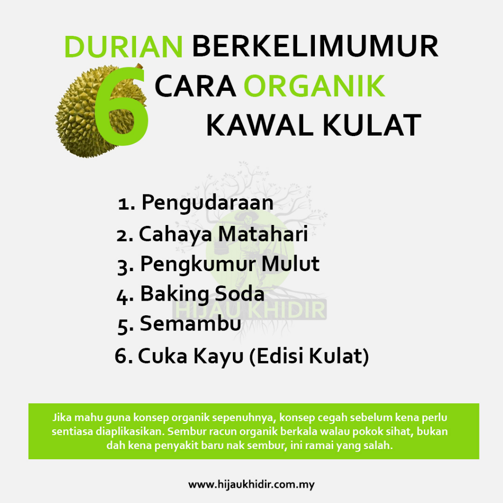 Racun Kulat 200ml Pokok Buah (Biru) Bagus Untuk Pokok Durian Hanya Satu ...