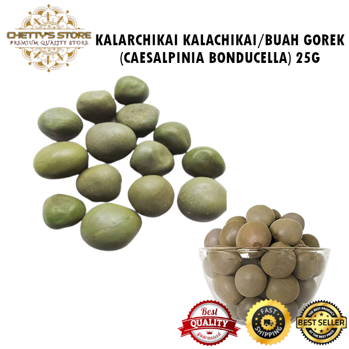 (IMPORTED INDIA) Kalarchikai Kalachikai- Buah Gorek - Caesalpinia ...