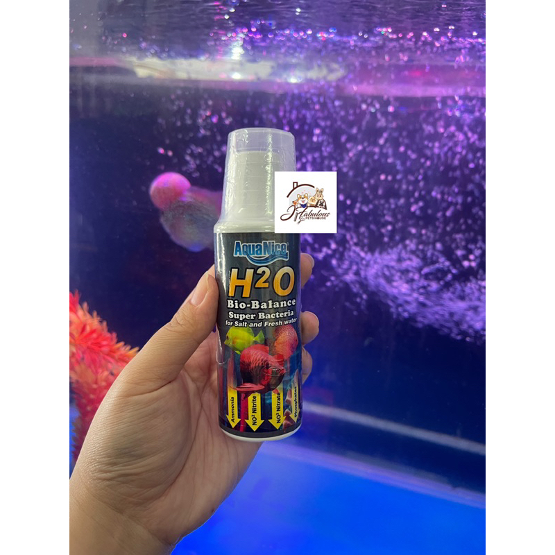 Aquanice H2O Bio Balance Bacteria 120ml | Shopee Malaysia