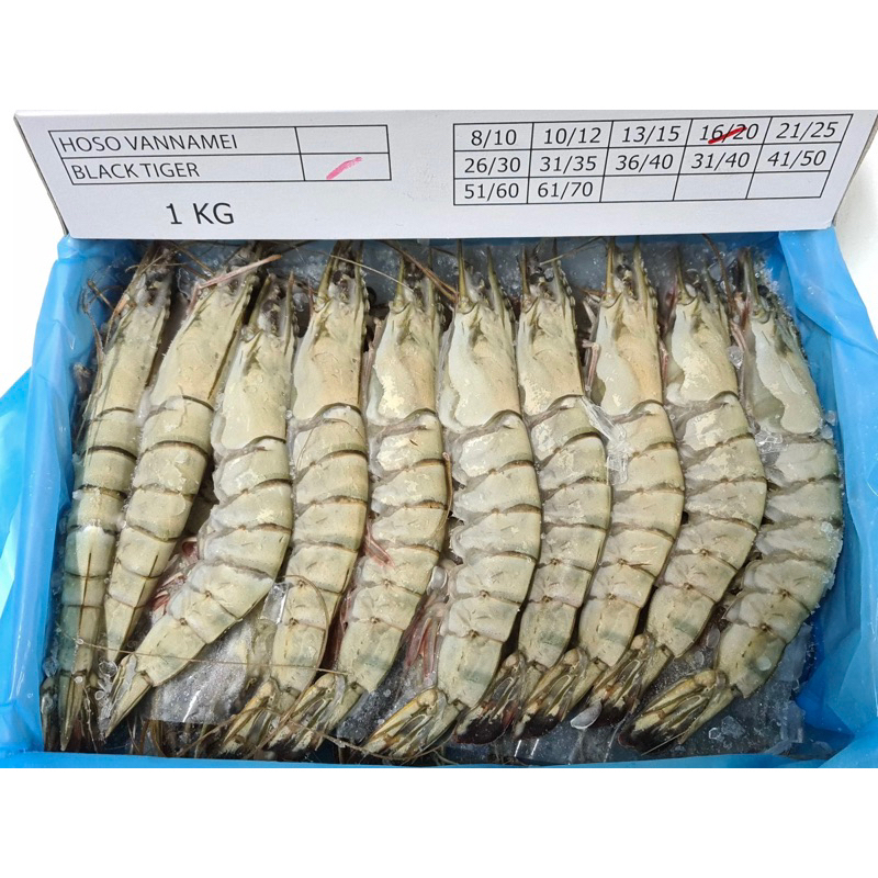 TIGER PRAWN 16/20 1KG | Shopee Malaysia