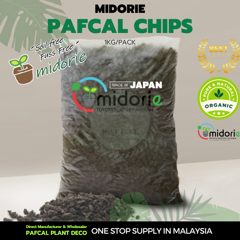 (READY STOCK) Original Midorie Soil-free Pafcal Chips 1kg for Plant ...