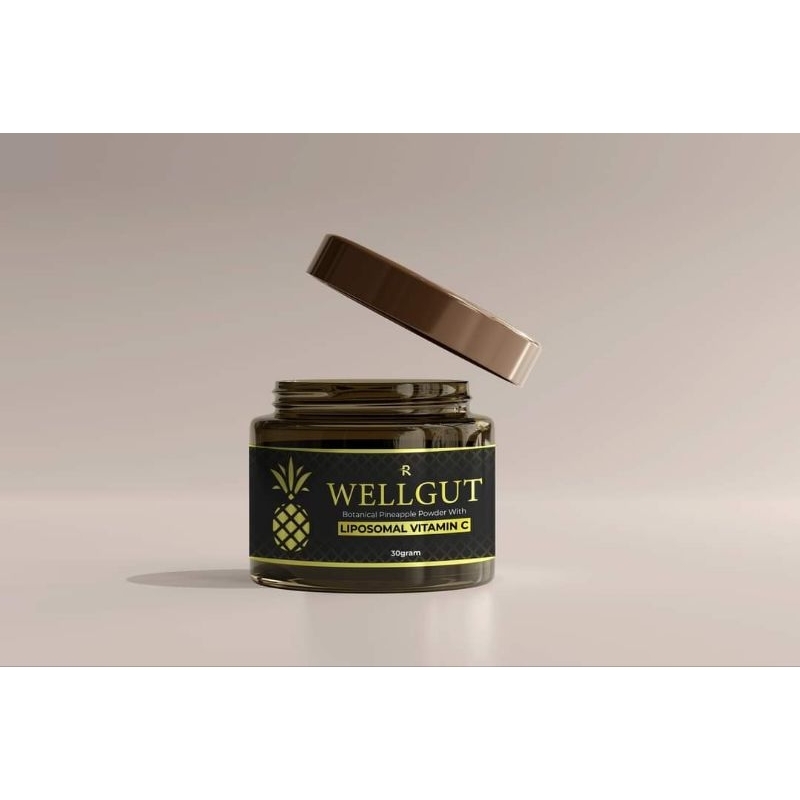 REDOX Wellgut Botanical Pineapple Powder with Liposomal Vitamin C ...