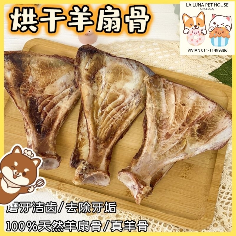 Pet teething snack pet treat lamb ribs fan bone 1pc 宠物磨牙零食风干羊扇骨 ...