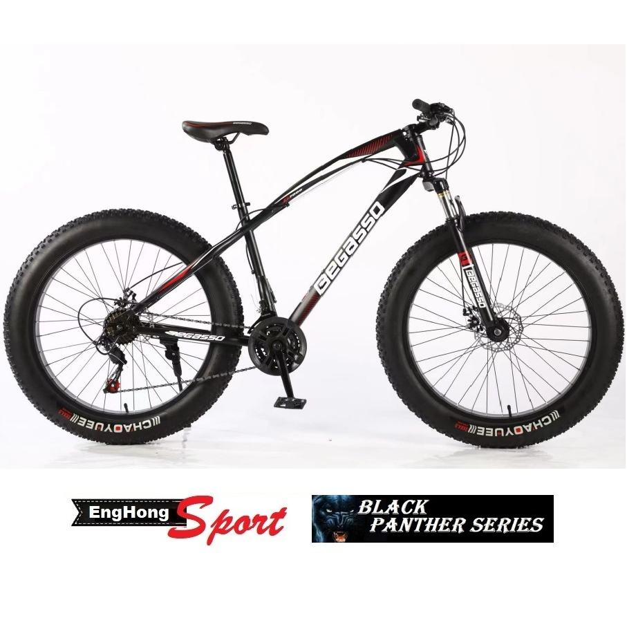 EngHong Sport Fat Bike 26inch 21 Gear Set, mountain bike, big bike ...