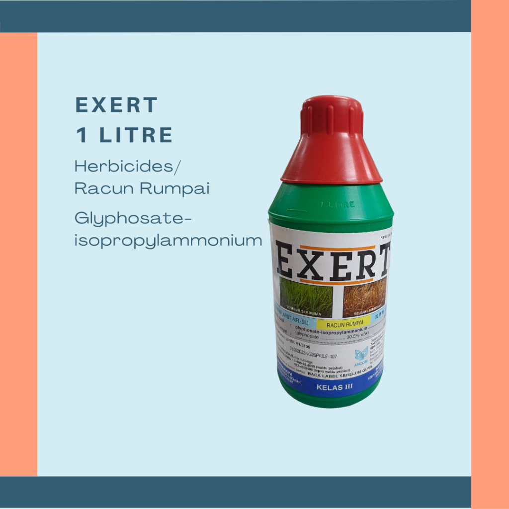 ANCOM - EXERT GLYPHOSATE - 1LITRE (RACUN RUMPAI/除草药/HERBICIDE) | Shopee ...