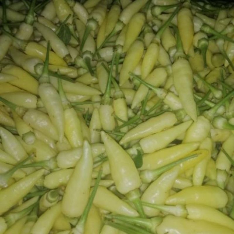 Lada putih Sabah 500g | Shopee Malaysia
