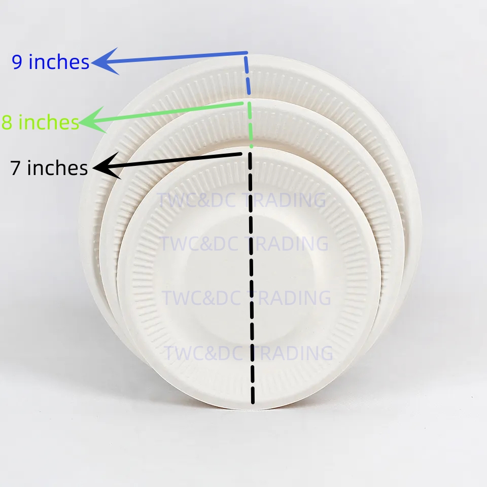 Plain Paper Plates Disposable (20's) (White) 7"/8"/9" | Pingan Kertas ...