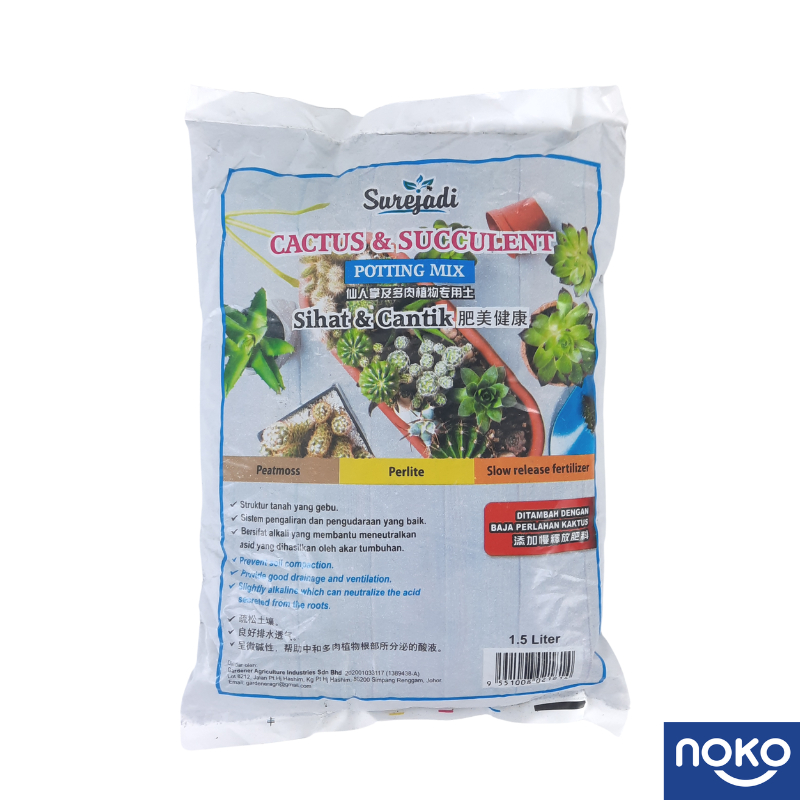 Cactus & Succulent Potting Mix / Peatmoss / Perlite / Slow Release ...