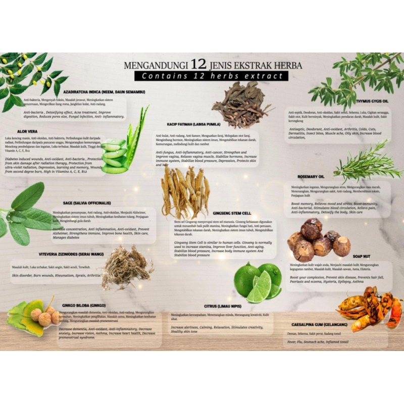 FREE SHIPPING - ORIGINAL BC300 Body cream - FROM Bravo HQ (Min order: 1 ...