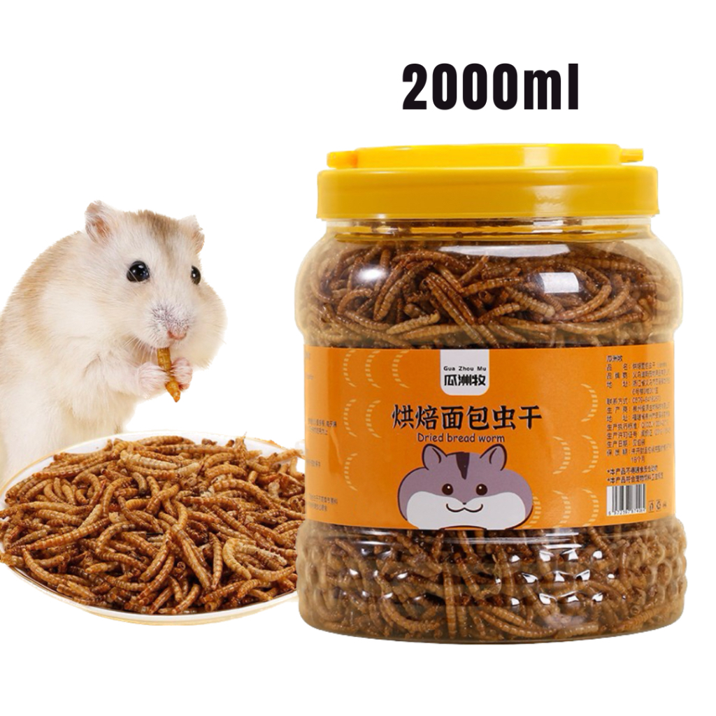Jonsanty Assorted Flavor Hamster Treats Small Animal Snack Mealworm ...