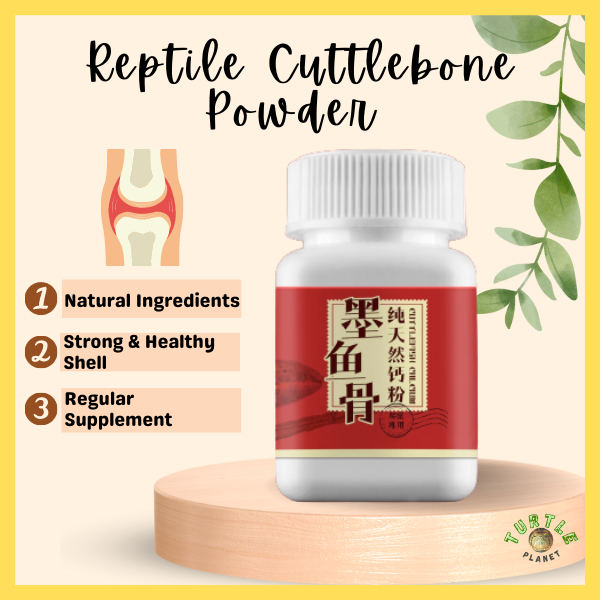 Turtle Cuttlebone Powder Electrolyte Turtle Supplement Turtle Medicine ...