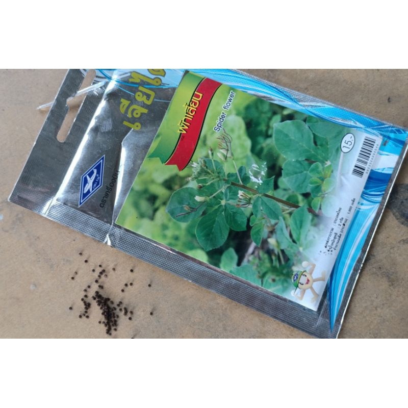 Biji benih maman (7g) | Shopee Malaysia