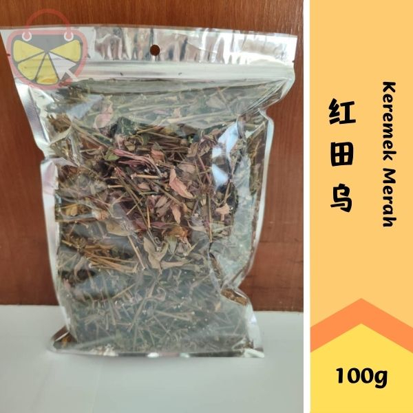 【红田乌】Keremek Merah [Segar | Kering] | Shopee Malaysia