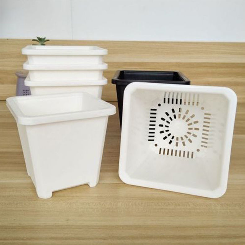 Garden tools Succulent Pot Pasu Bunga Plastik Kecil SUCCULENT CACTUS ...