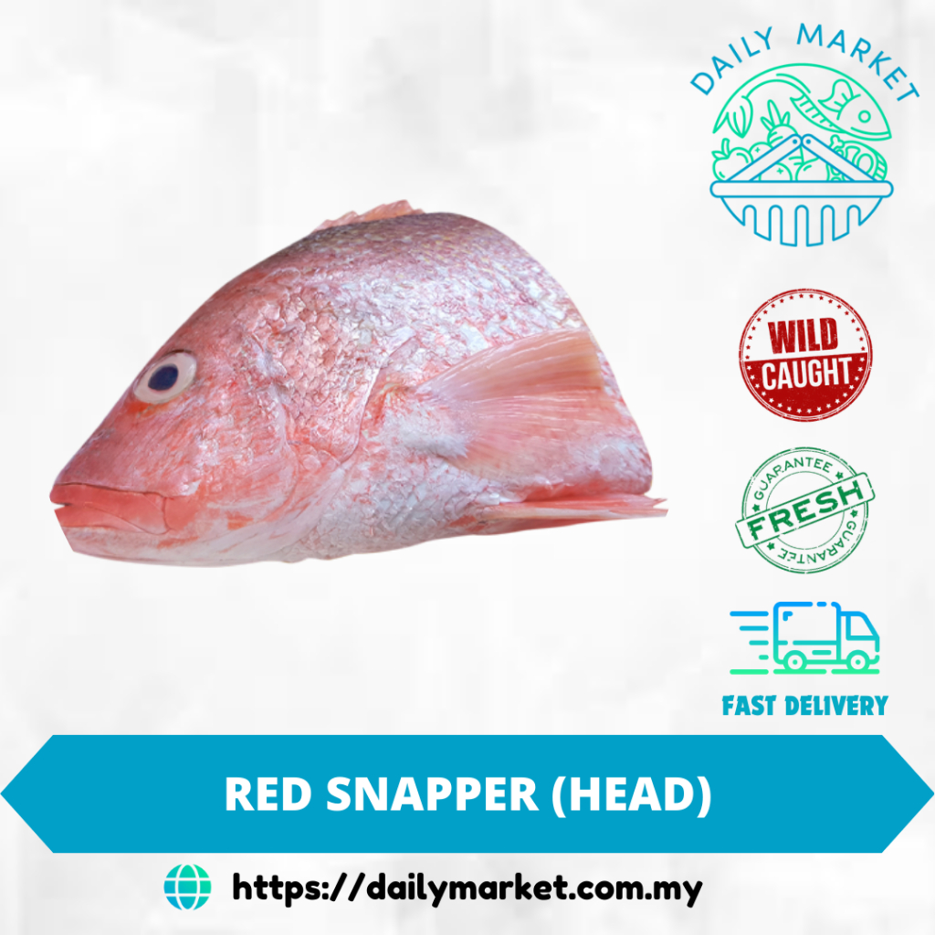 RED SNAPPER (HEAD) | IKAN MERAH (KEPALA) | 红鲷鱼 @ DAILY MARKET | Shopee ...