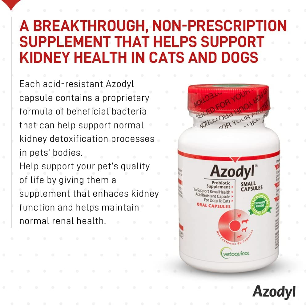 Vetoquinol Azodyl Kidney Supplement for Cats & Dogs (90 Capsules ...