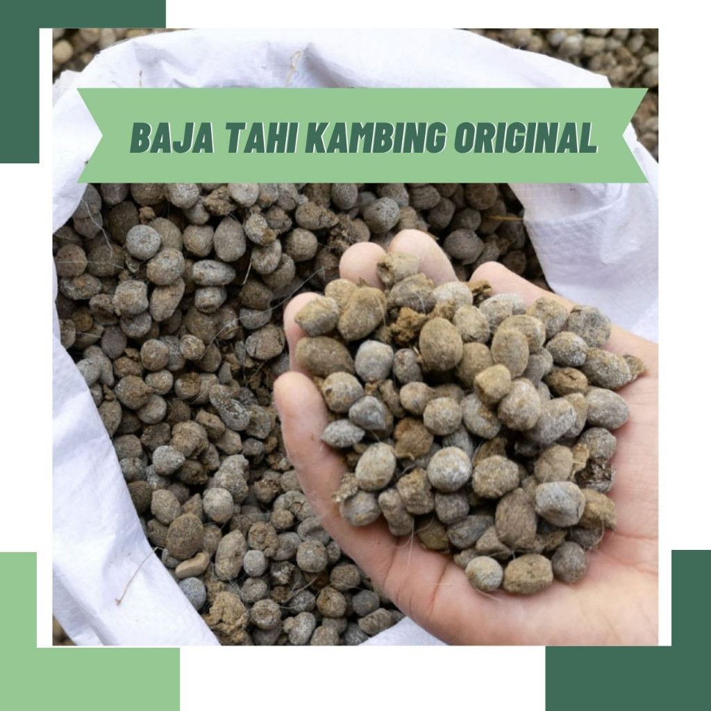Agro Premium Organic Baja Tahi Kambing Fertilizer Goat Manure Advance ...