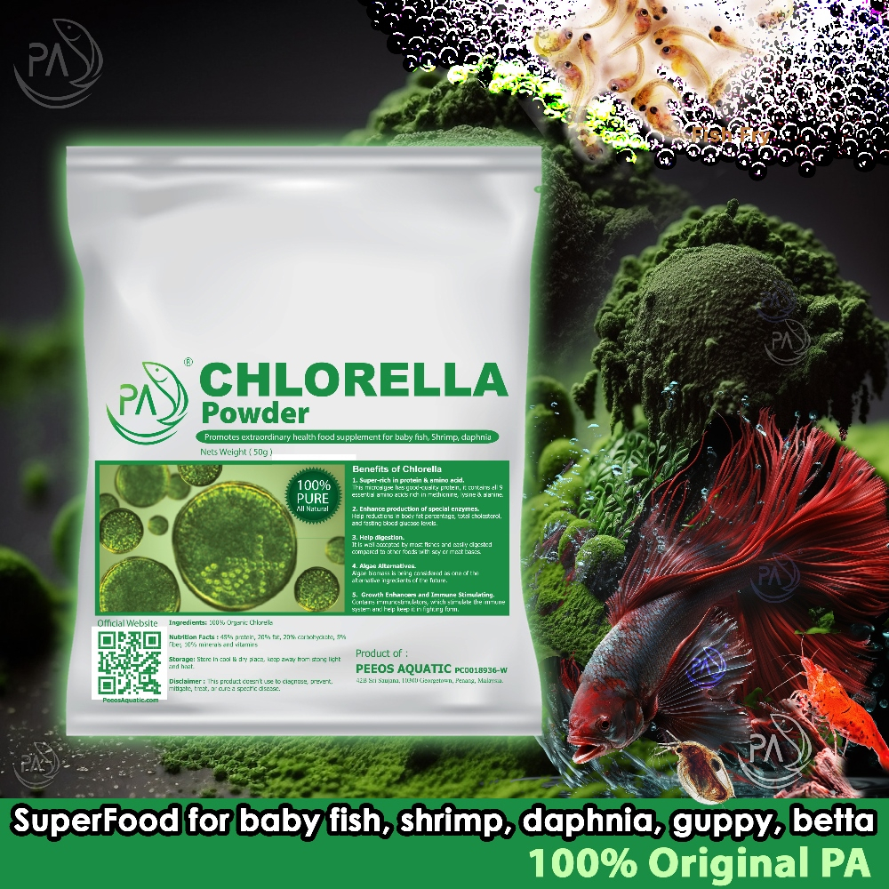 Pa Chlorella Powder Chip algae pet food fish betta fry guppy kutu air ...
