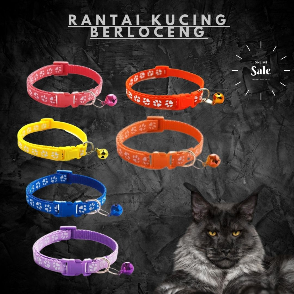 RANTAI KUCING BERLOCENG