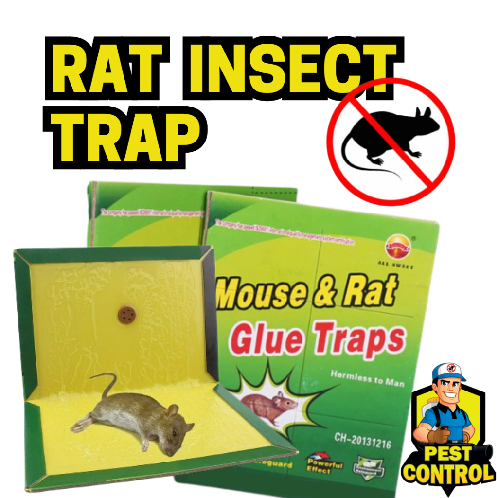 Mouse Trap Super Glue Trap Snake Bugs Rat Mice Catcher Bait Pest ...