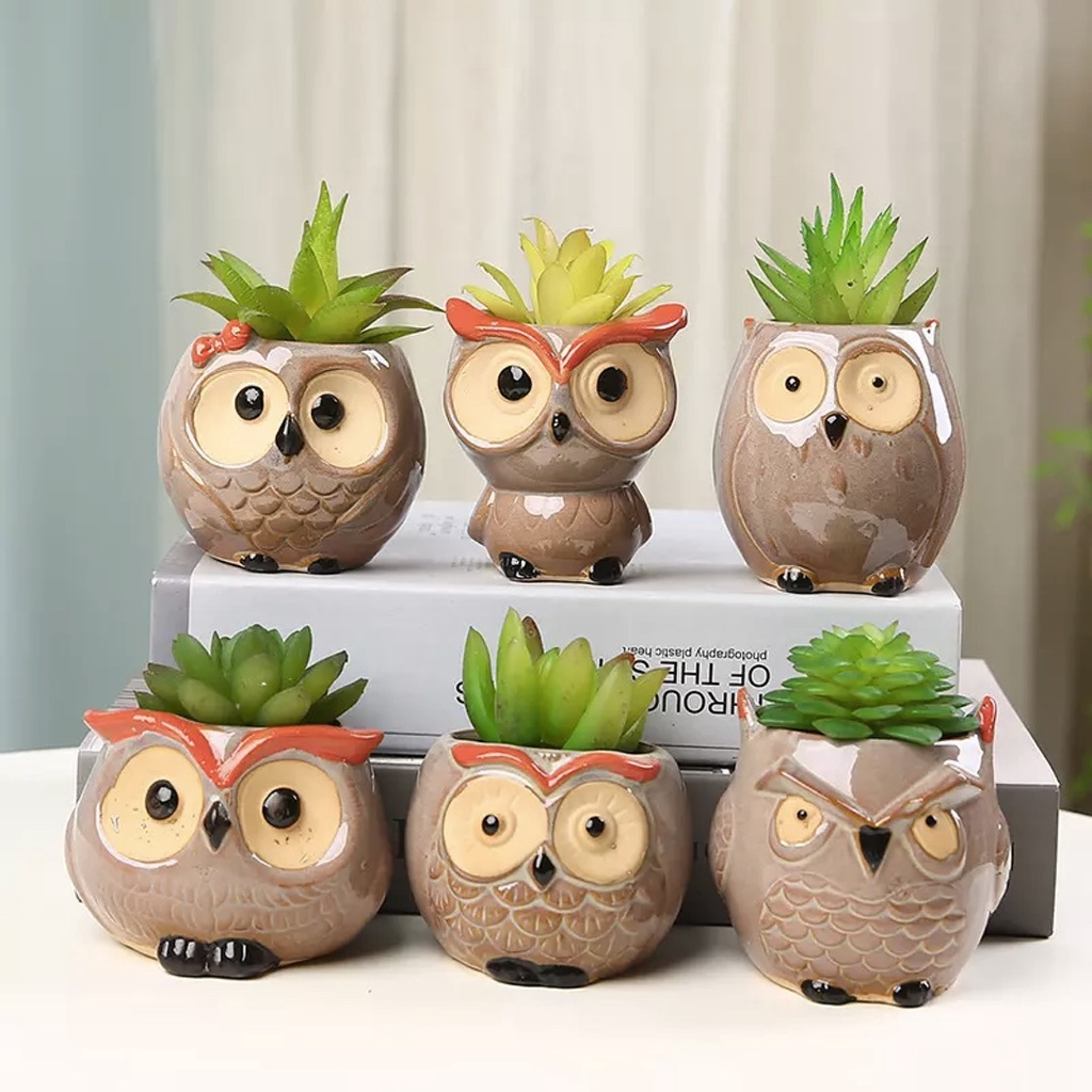 Happi GO 1pcs Cactus Succulent Cute Owl Ceramic Pot / Pasu Seramik ...