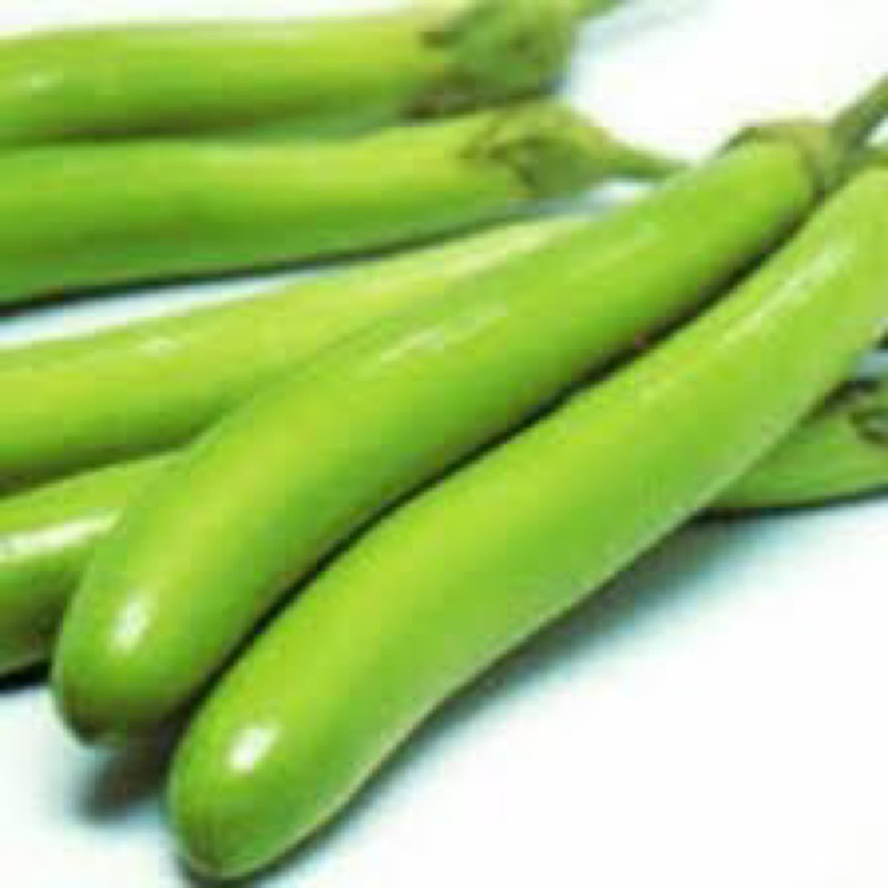10pcs seeds Terung Panjang Hijau senang semai dan jaga | Shopee Malaysia